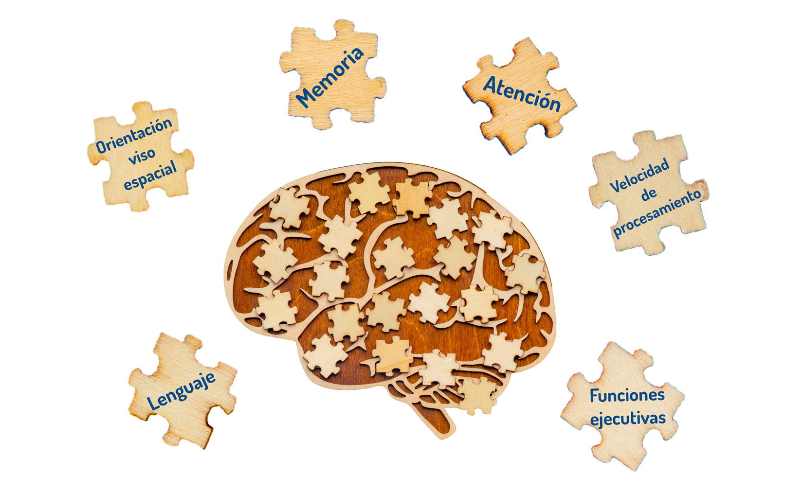 Neuropsicología y envejecimiento: impacto del envejecimiento en las funciones cognitivas ...